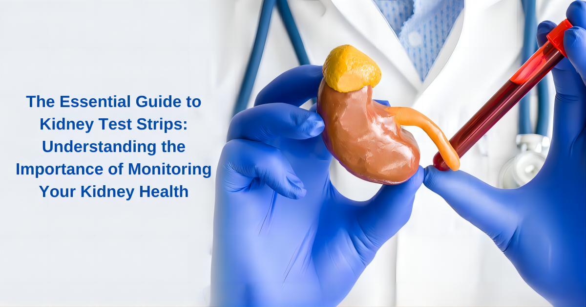 The Essential Guide to Kidney Test Strips: Understanding the Importance ...